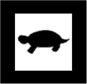 Camp-Inn Teardrop Travel Pictures